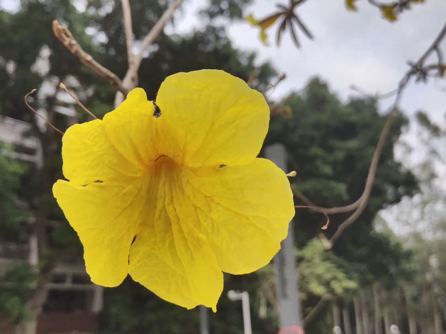 校园vlog_江靖越-站酷ZCOOL