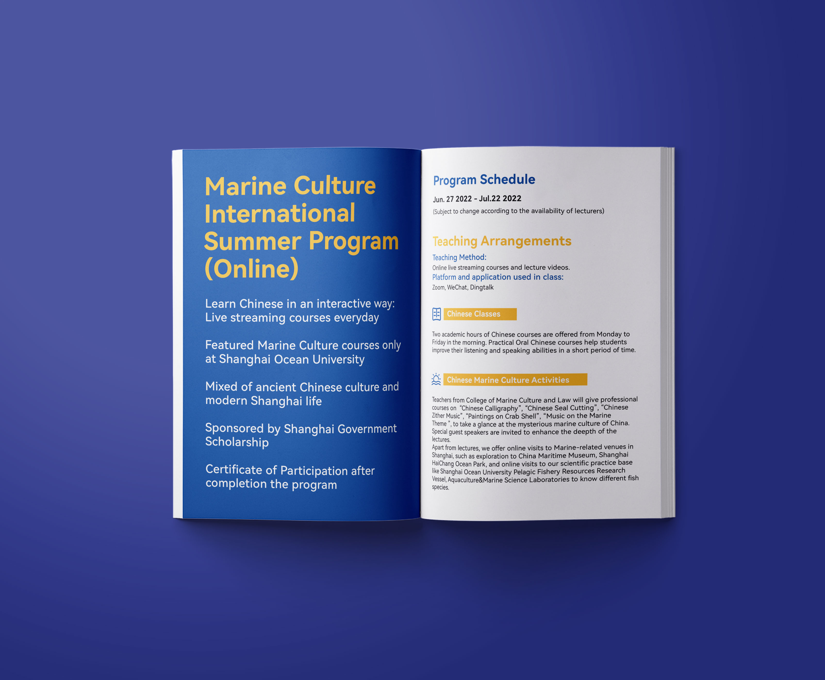 画册设计 宣传册 招生手册_Zhouying_-站酷ZCOOL