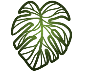 棕榈叶设计_NPC设计-站酷ZCOOL