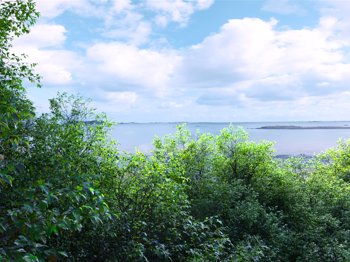 C4D-《Arnold树木场景初体验》_小周童鞋丶-站酷ZCOOL