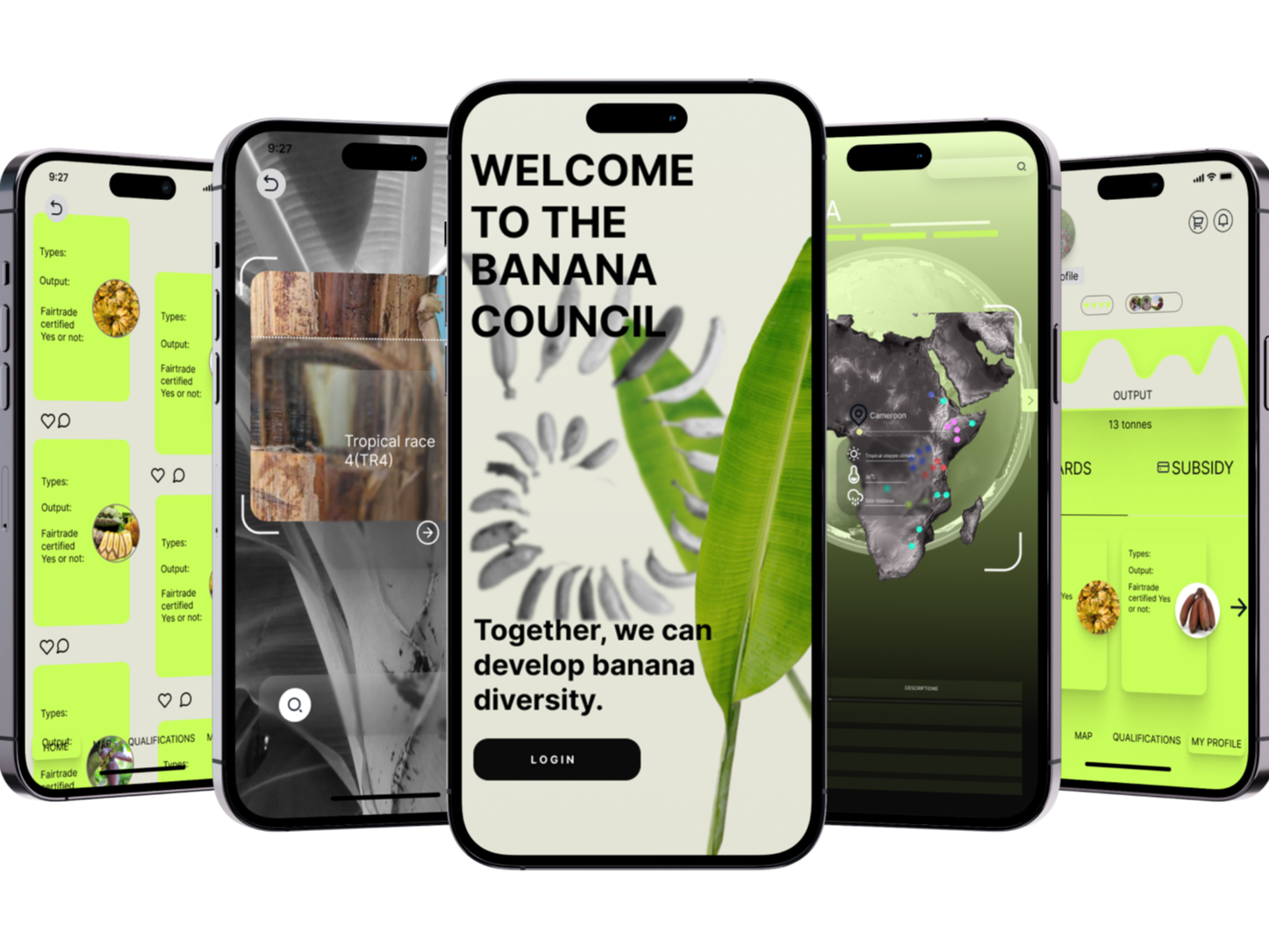 Banana Council_右苗-站酷ZCOOL