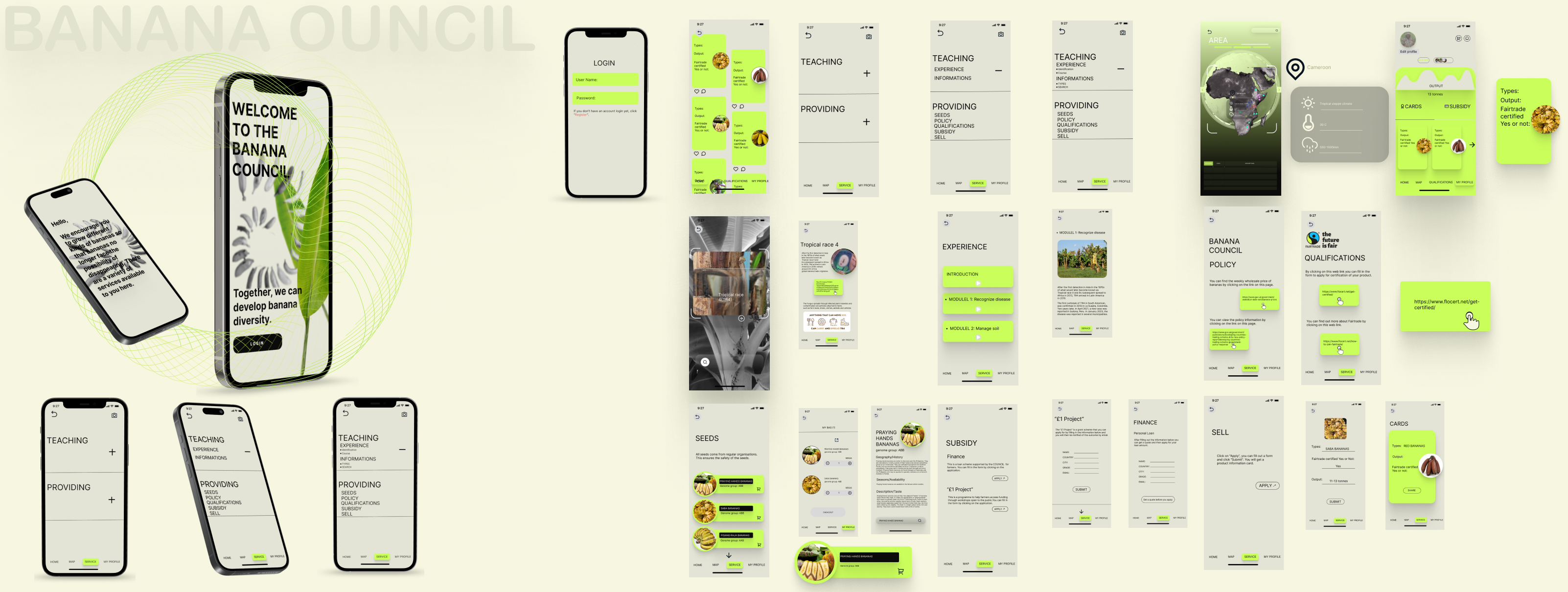 Banana Council_右苗-站酷ZCOOL