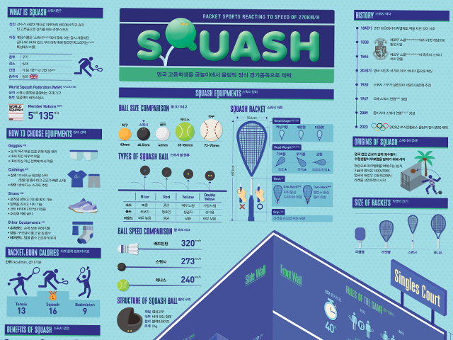 202407_壁球_Squash【信息图表】_203_信息图表_Lab-站酷ZCOOL