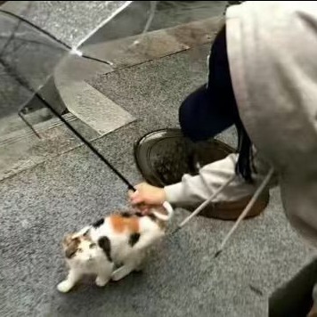 第四章0304创作者主页_其他设计爱好者-站酷ZCOOL