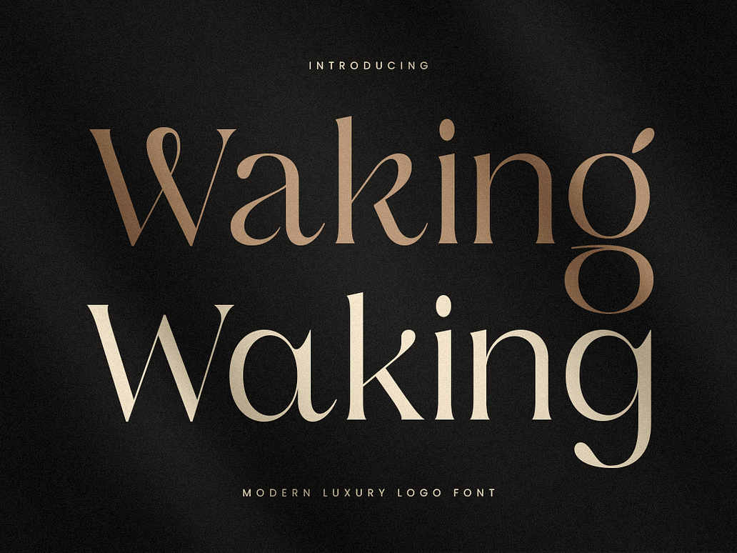 高级经典优雅奢侈品广告画册请柬包装标题衬线英文字体_最西文集-站酷ZCOOL