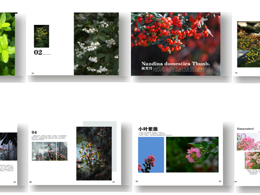 书籍设计_小璇ovo-站酷ZCOOL