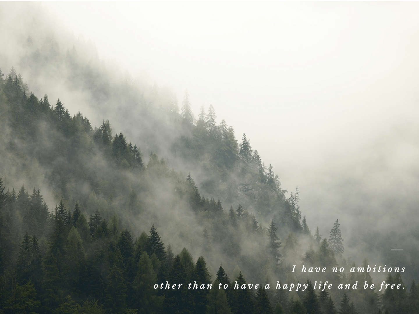 《蔻之初》_莽夫之勇-站酷ZCOOL