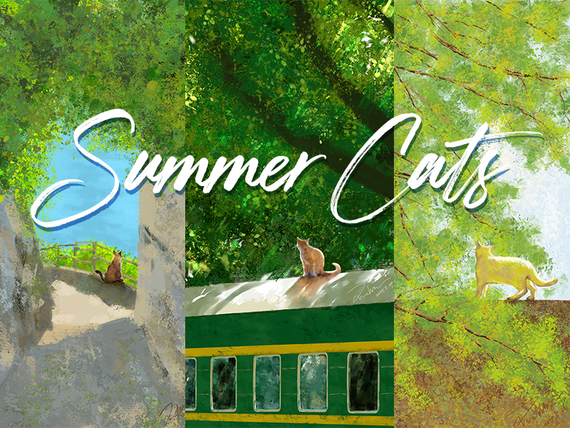 Summer Cats_rebbit-站酷ZCOOL