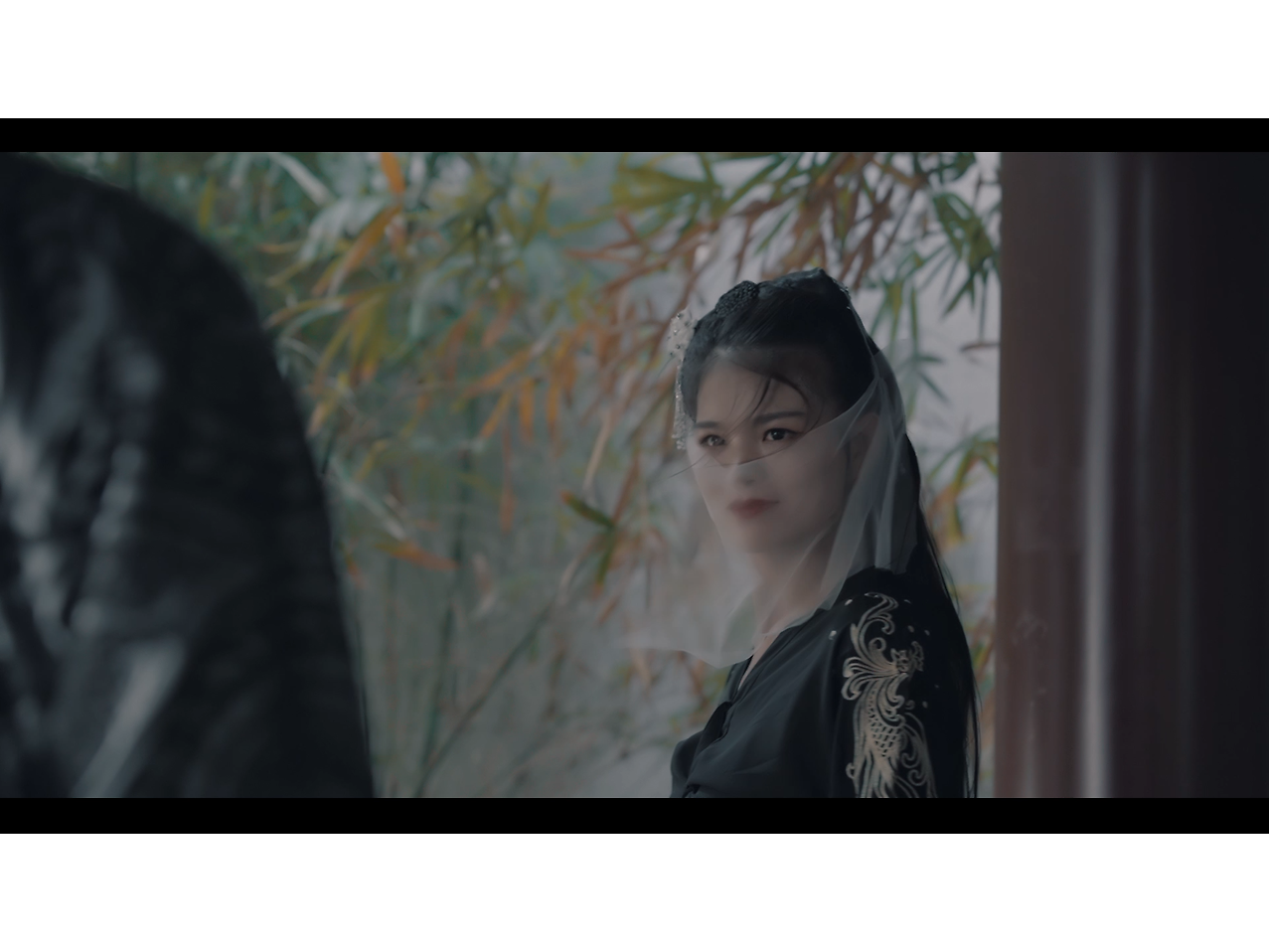 追书神剧_柳小满-站酷ZCOOL