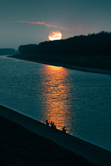 家里旁边的湿地公园_海辉_haihui-站酷ZCOOL