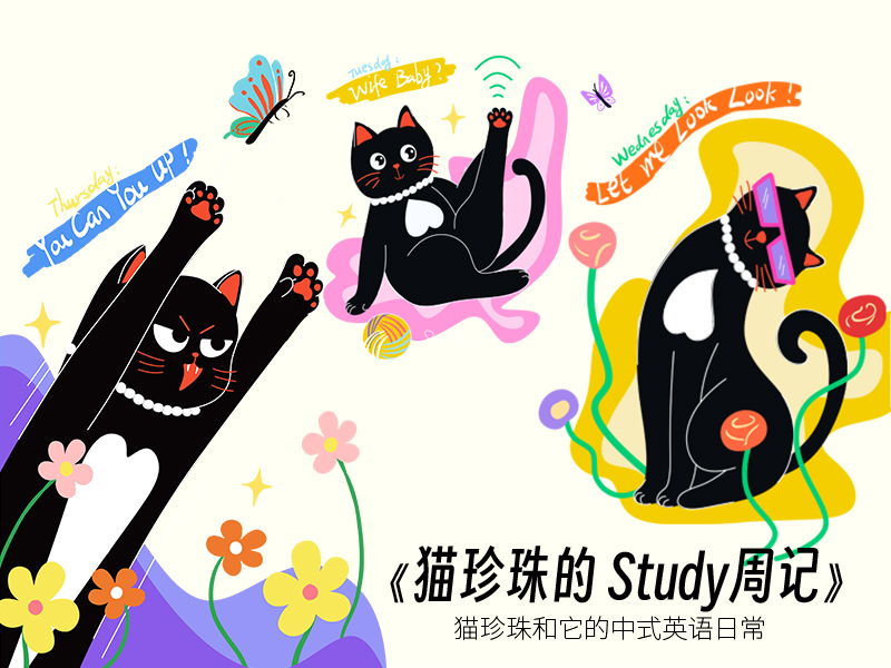 《猫珍珠的Study周记》——当一只猫学会了中式英语_米斯夏Summer-站酷ZCOOL