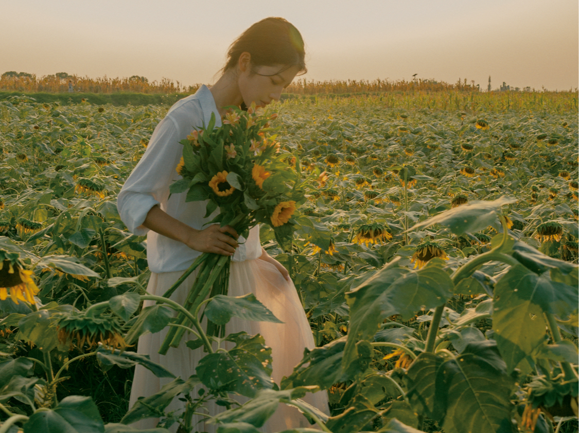 凋零的向日葵_白山Gavin-站酷ZCOOL