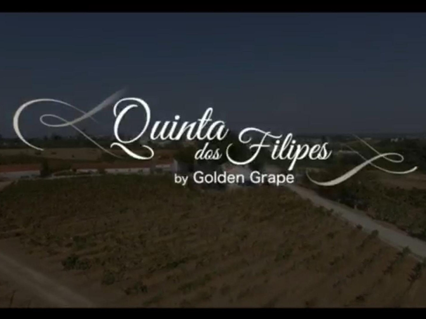 红酒_随心88-站酷ZCOOL