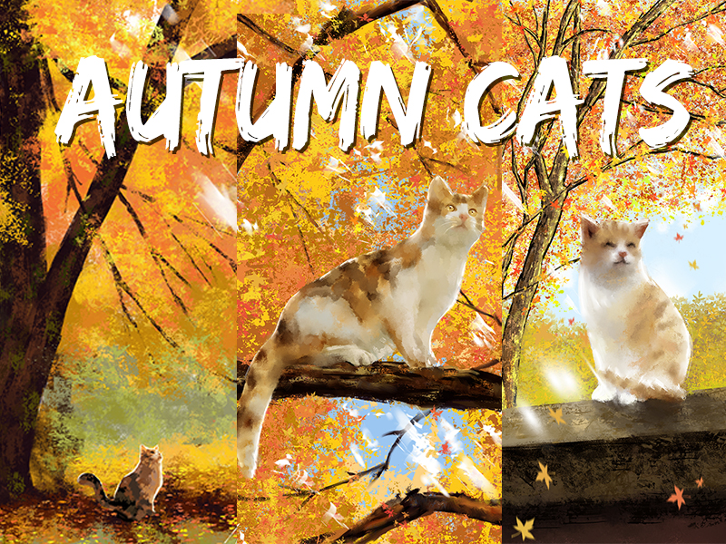 Autumn Cats_rebbit-站酷ZCOOL