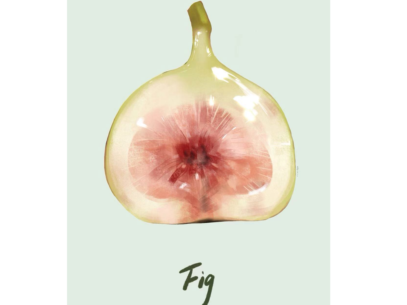 粉色的水果_叫vicky的好多-站酷ZCOOL