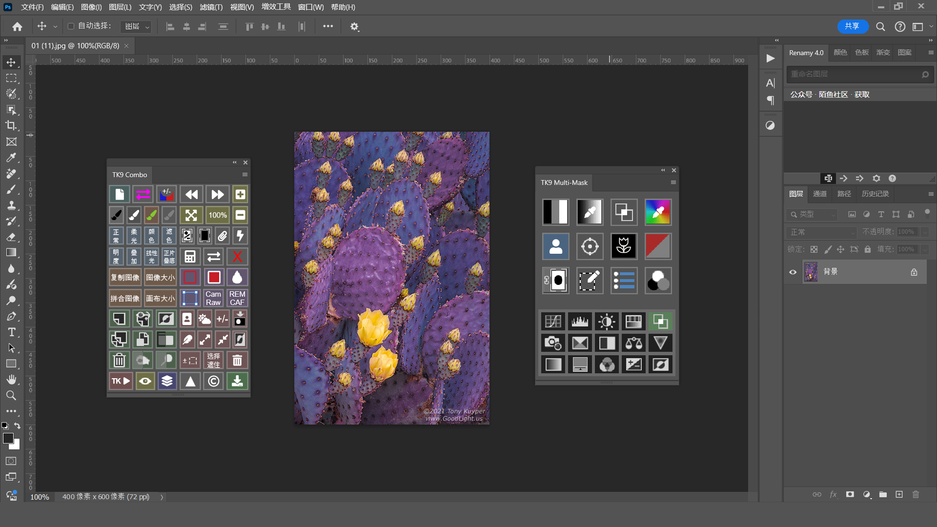 全新版TKActions V9最强TK9 3.0亮度蒙版PS风光后期修图常用插件_陌鱼社区-站酷ZCOOL