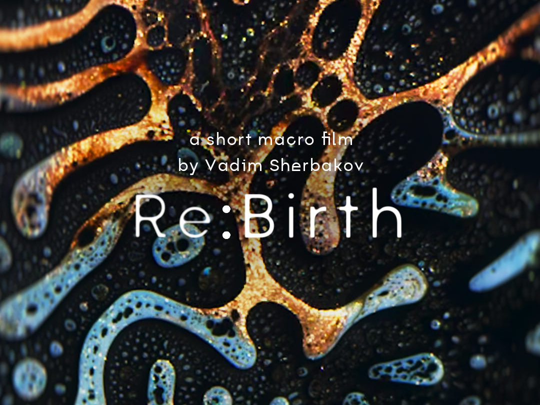 Re:Birth_Madebyvadim-站酷ZCOOL
