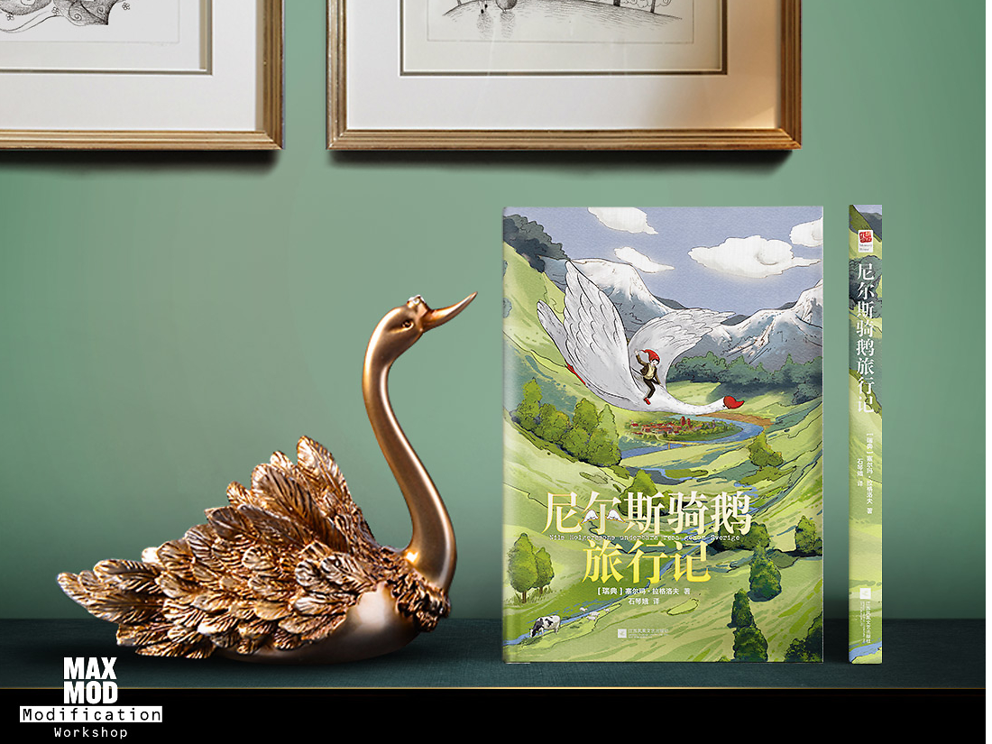 尼尔斯骑鹅旅行记 封面设计_上限Streamax-站酷ZCOOL