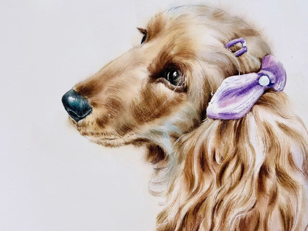 水彩狗狗_Flora图图麻麻-站酷ZCOOL