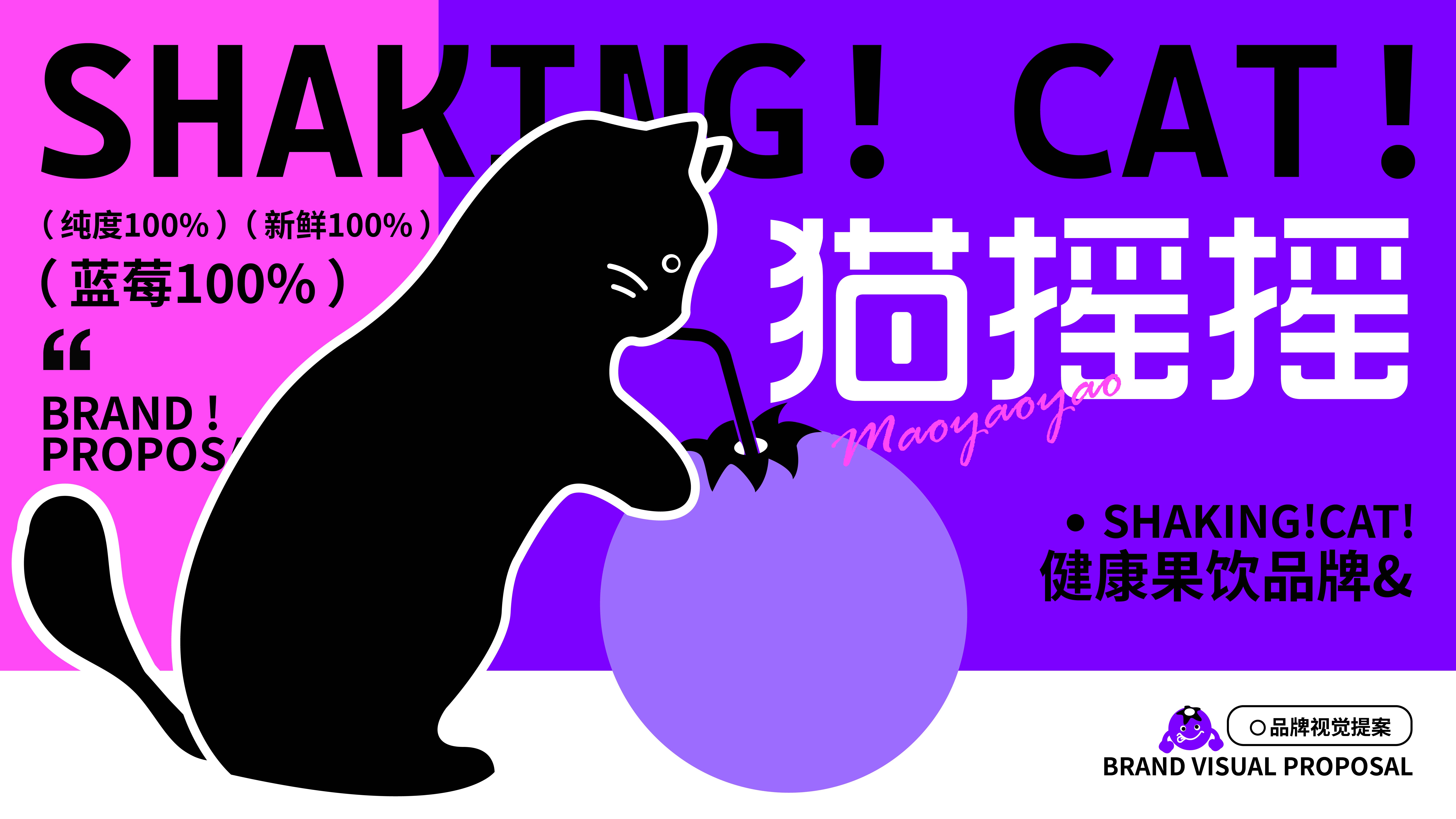 SHAKING!CAT! | 猫摇摇 ——品牌提案_PH设计-站酷ZCOOL