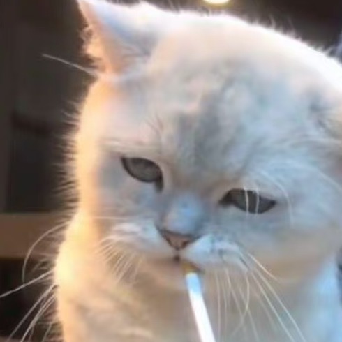 贺词_Yx创作者主页_石家庄平面设计师-站酷ZCOOL