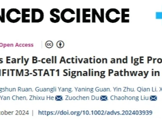 Adv Sci丨阐明PGRN影响BCR信号传导B细胞分化和IgE产生的分子机制_葆力医学观察-站酷ZCOOL