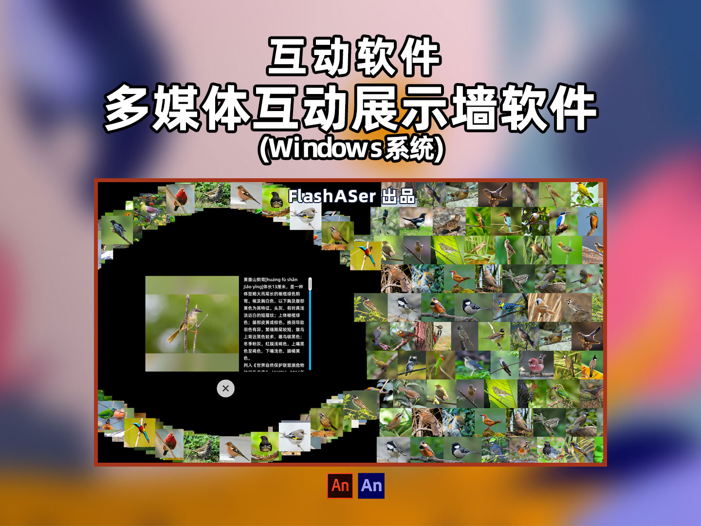 互动软件：多媒体互动展示墙软件（Windows）_AnimateASer-站酷ZCOOL