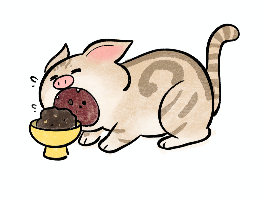 小猫的多形态_幸运小哈-站酷ZCOOL