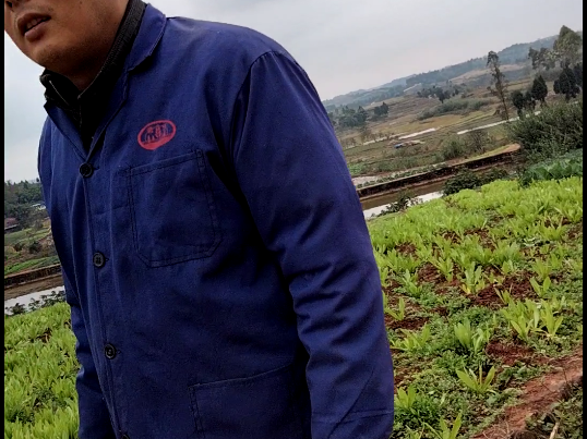 六十集连续剧《重视农村更健康新片剧本大纲》01集_任鹏宇动画-站酷ZCOOL