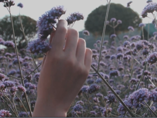 调色_奥利弗Sir-站酷ZCOOL