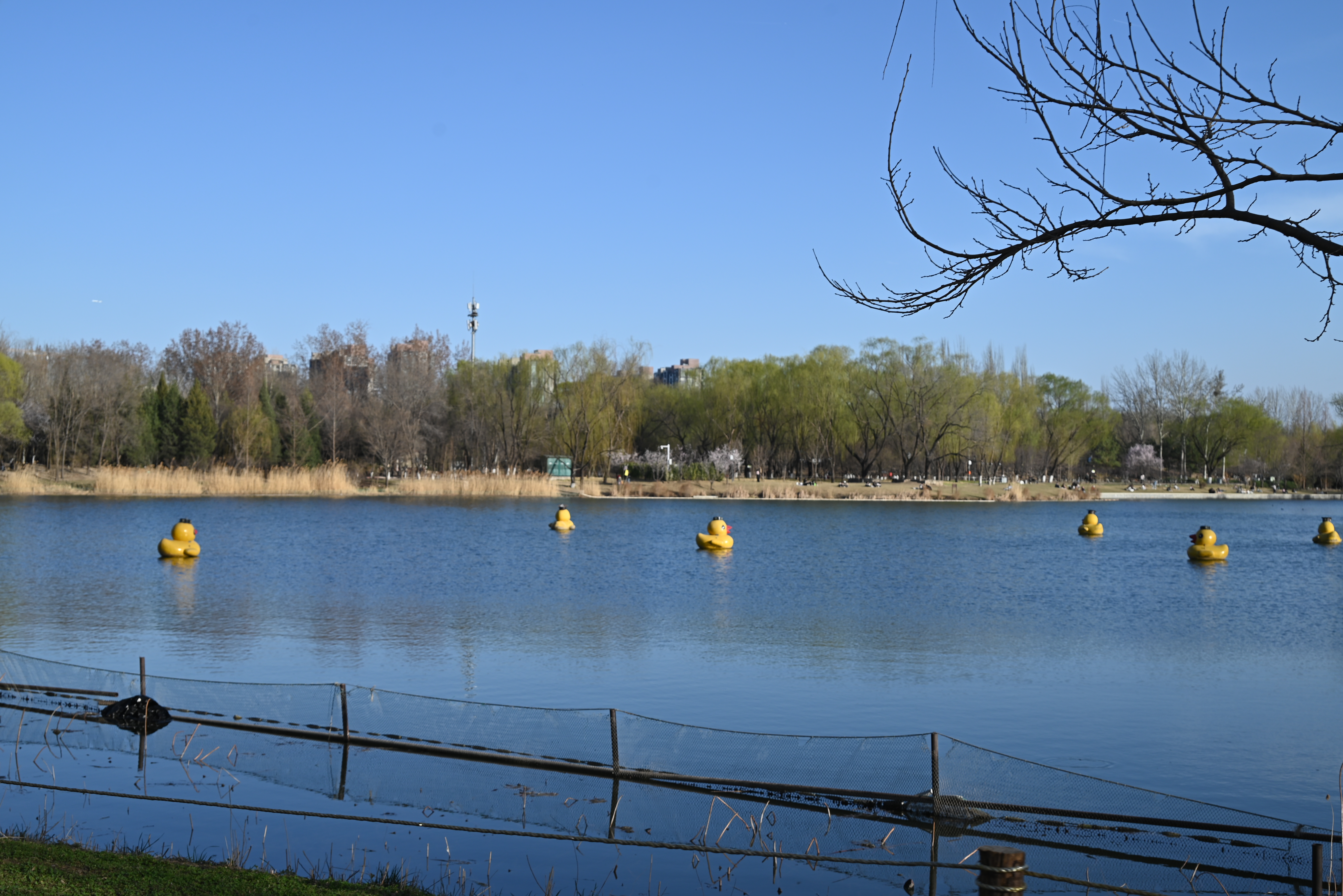 朝阳公园_升级打怪boss-站酷ZCOOL