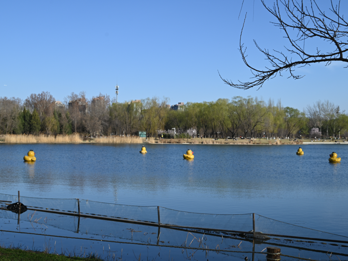 朝阳公园_升级打怪boss-站酷ZCOOL