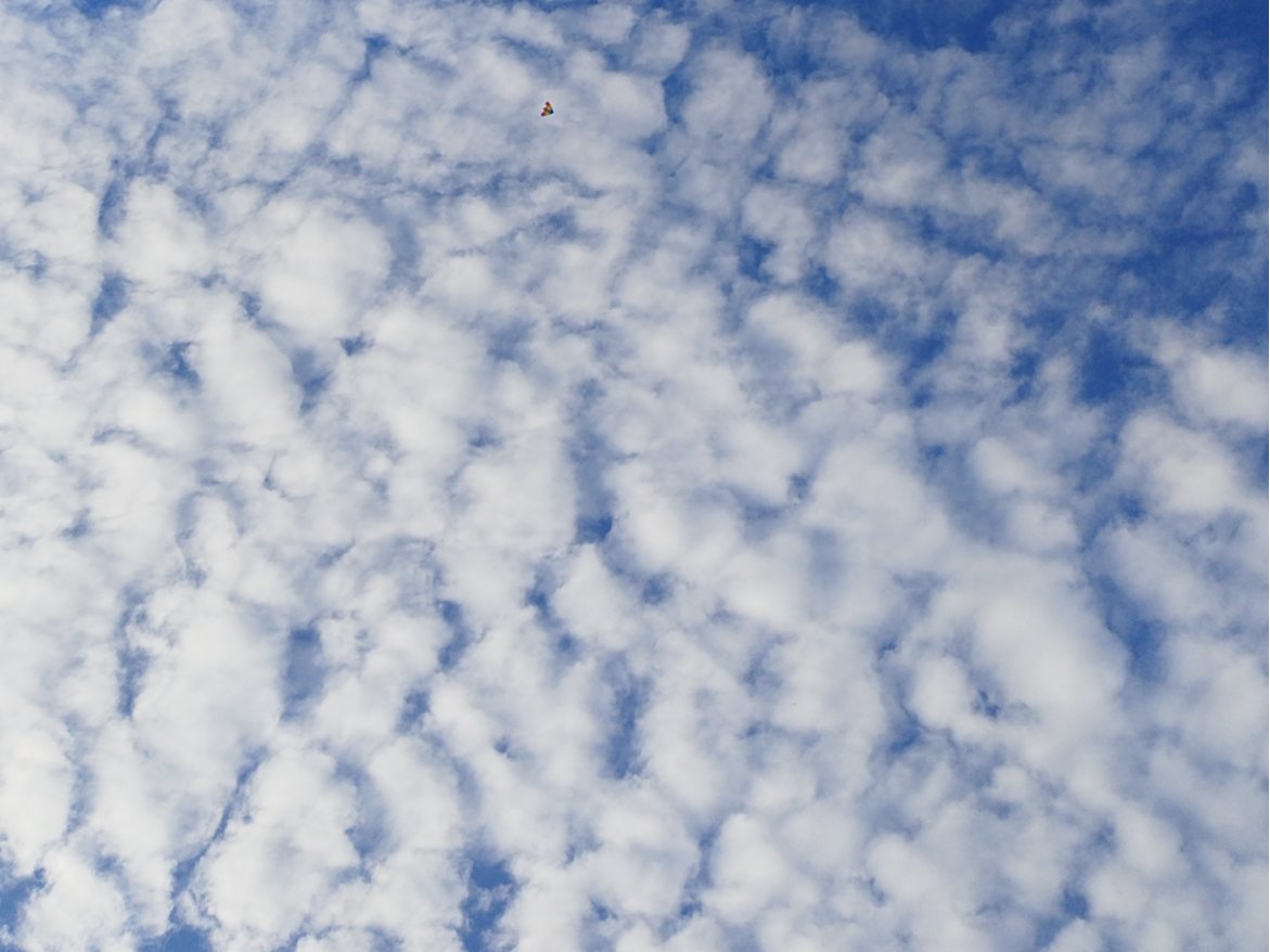 10_SIBER-站酷ZCOOL