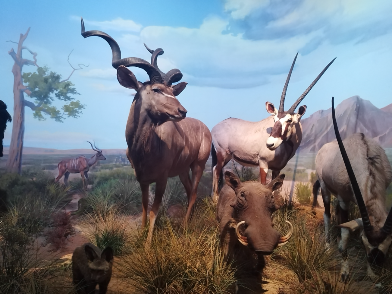 17_SIBER-站酷ZCOOL