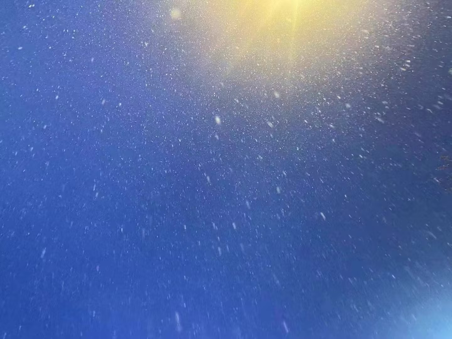 落雪_honeywhy-站酷ZCOOL