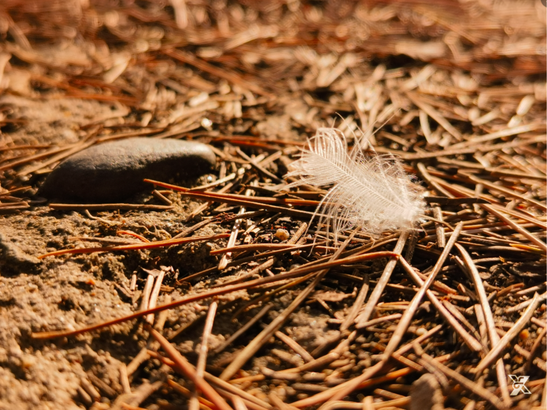 秋日集锦（10图）_Peter_Doroph-站酷ZCOOL