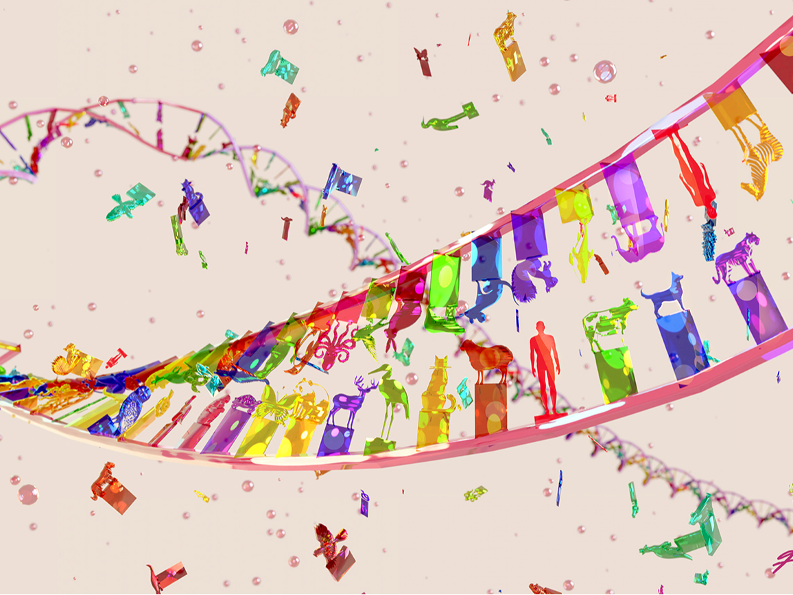 参展——共享的生命密码_FlyingFlyazure-站酷ZCOOL