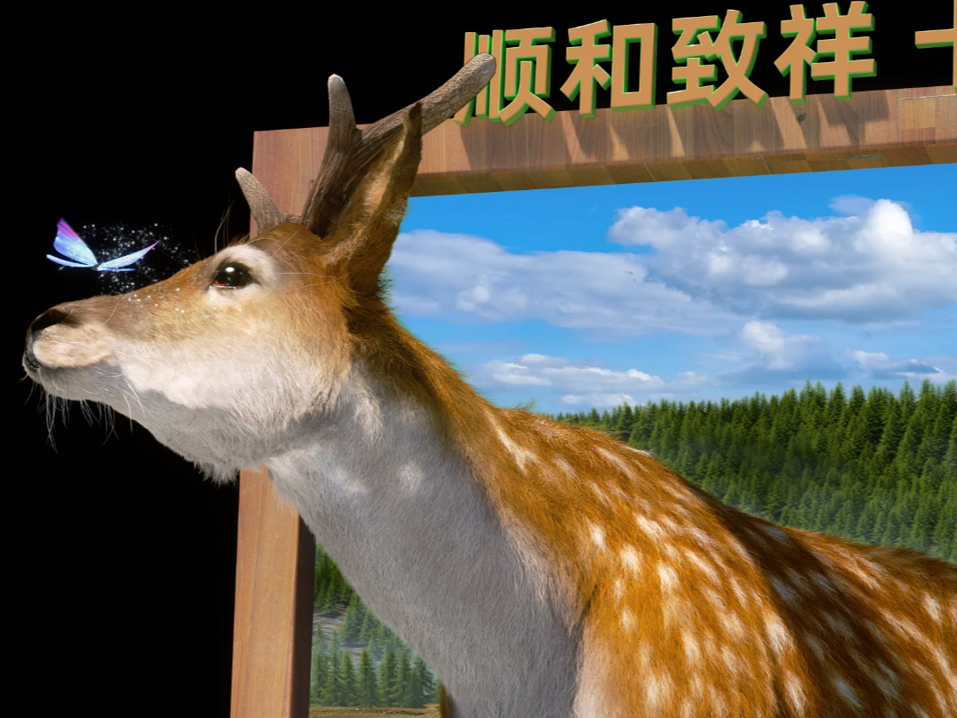 鹿鸣卡阳裸眼3D视频_嗨动视觉-站酷ZCOOL