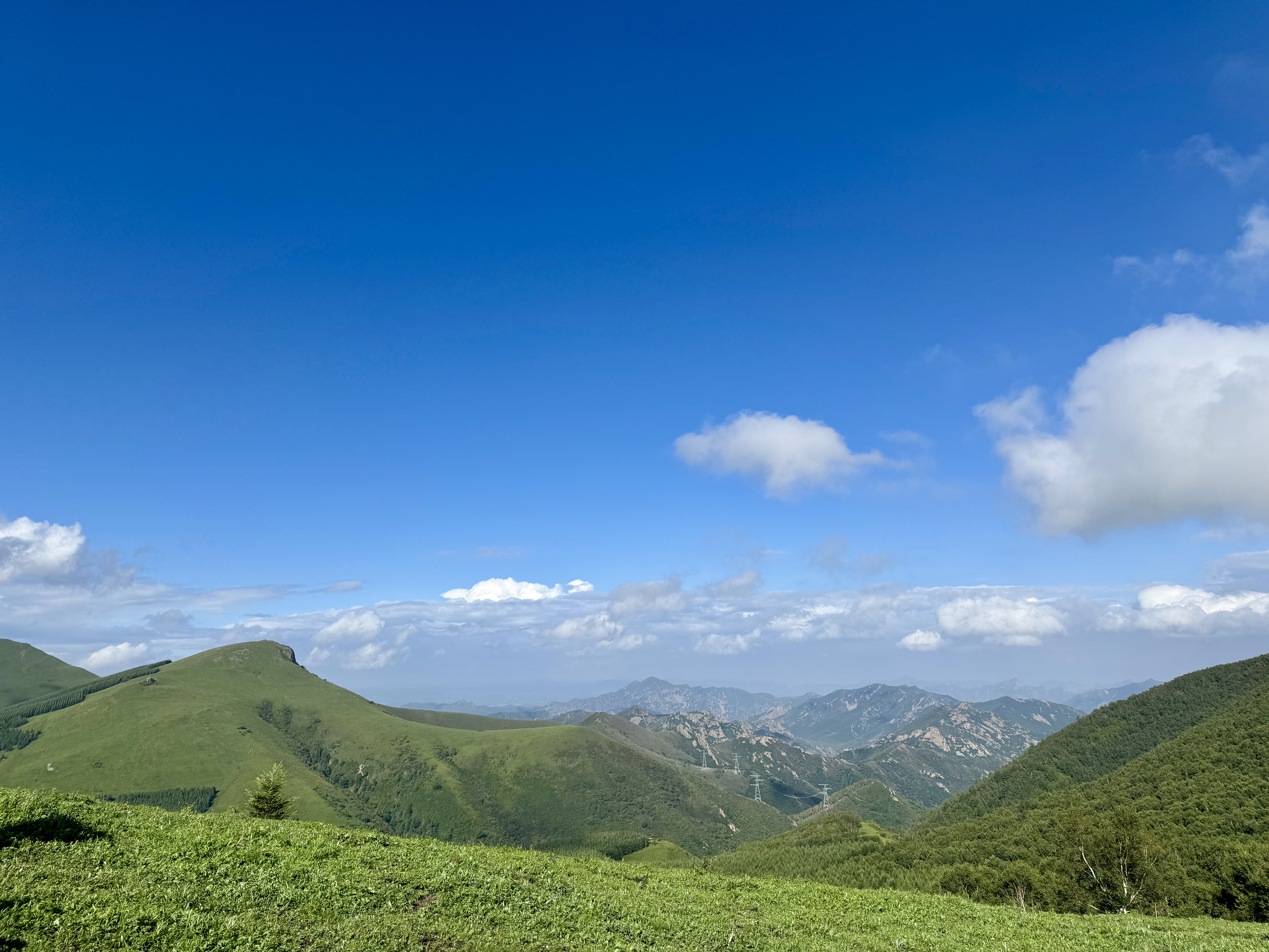 晴朗_籽籽瓜-站酷ZCOOL