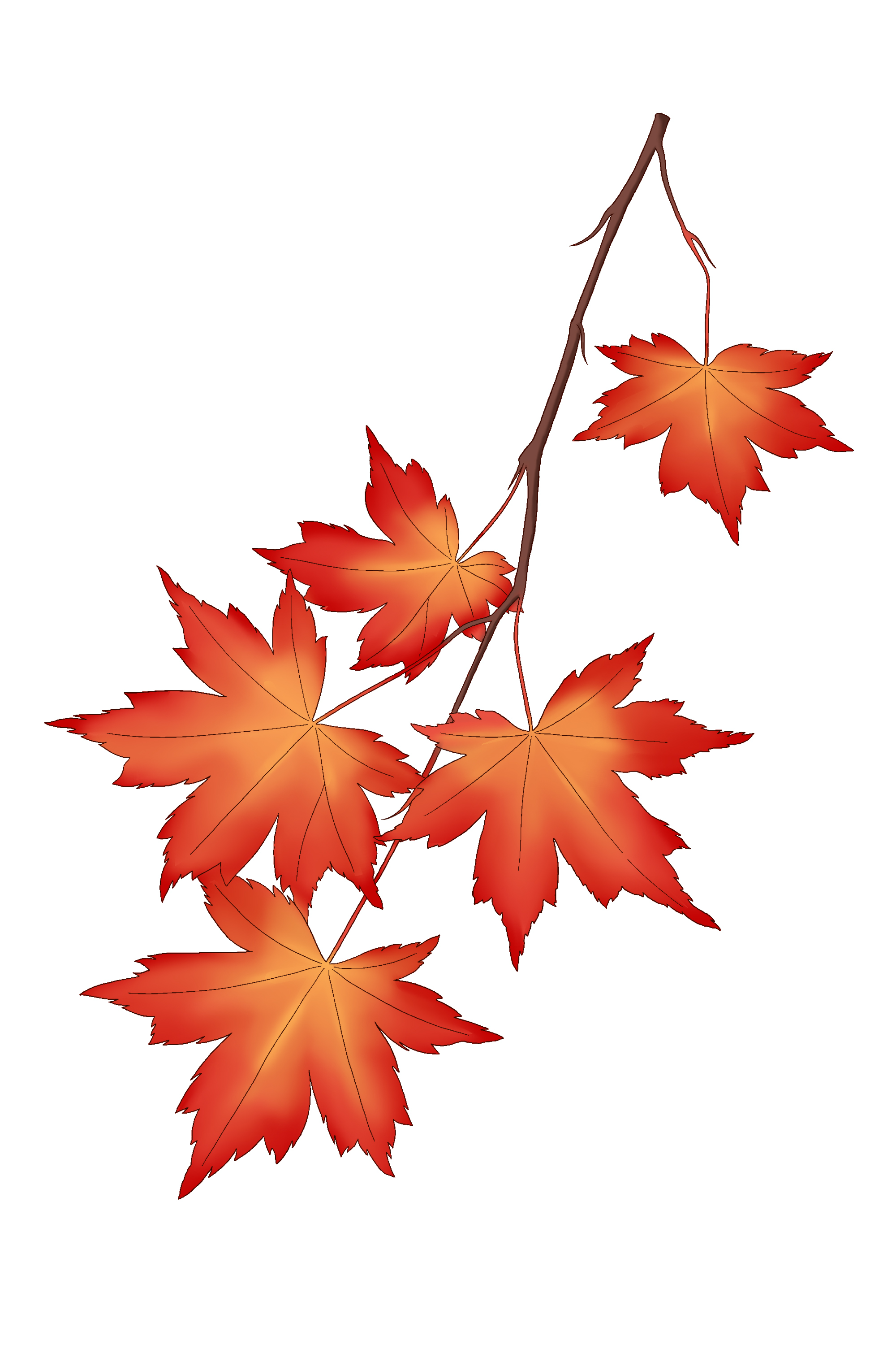 秋天的红叶_Nicole妮雪-站酷ZCOOL