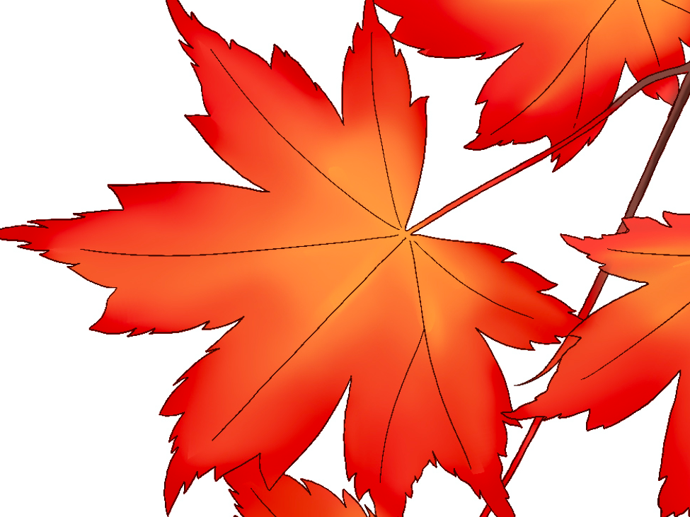 秋天的红叶_Nicole妮雪-站酷ZCOOL