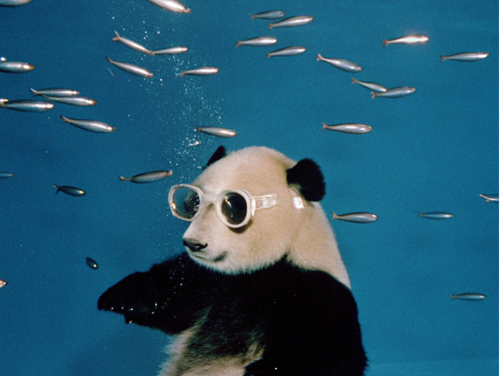 梦境_Trumann-站酷ZCOOL