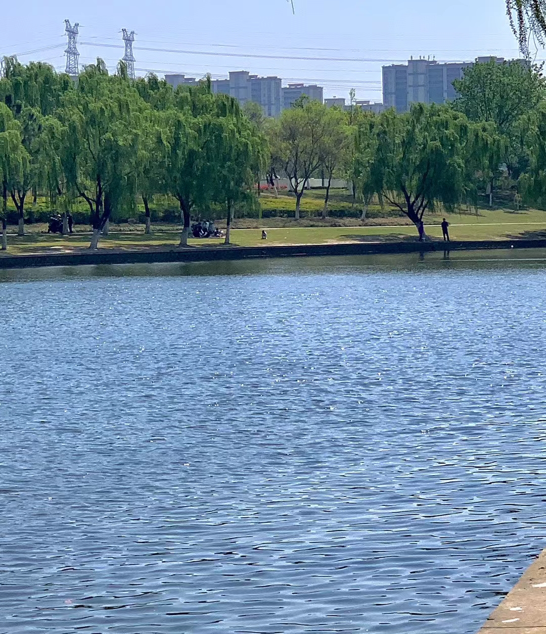 湖边_升级打怪boss-站酷ZCOOL