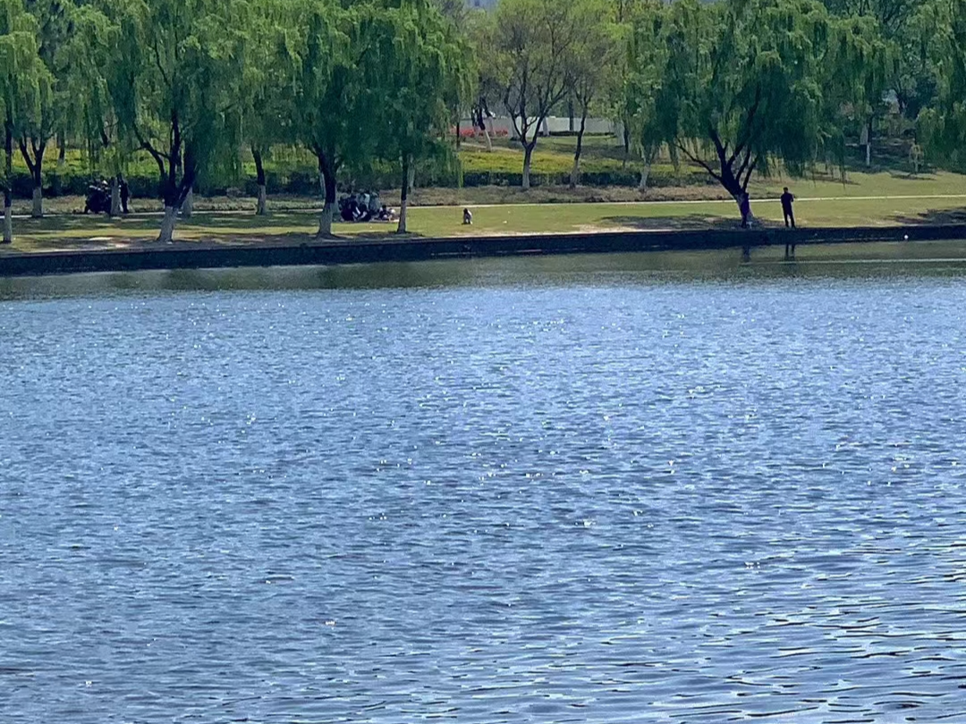 湖边_升级打怪boss-站酷ZCOOL