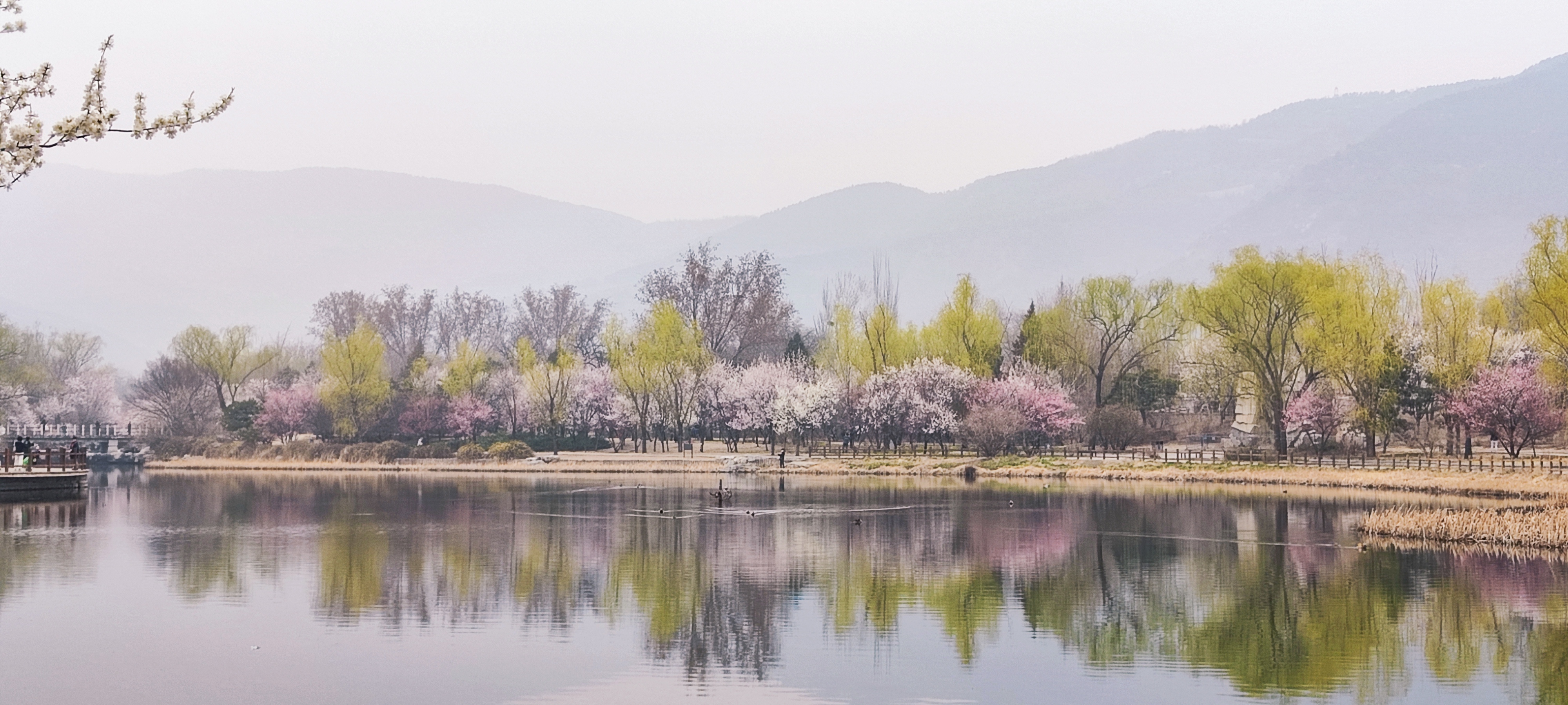 国家植物园_升级打怪boss-站酷ZCOOL