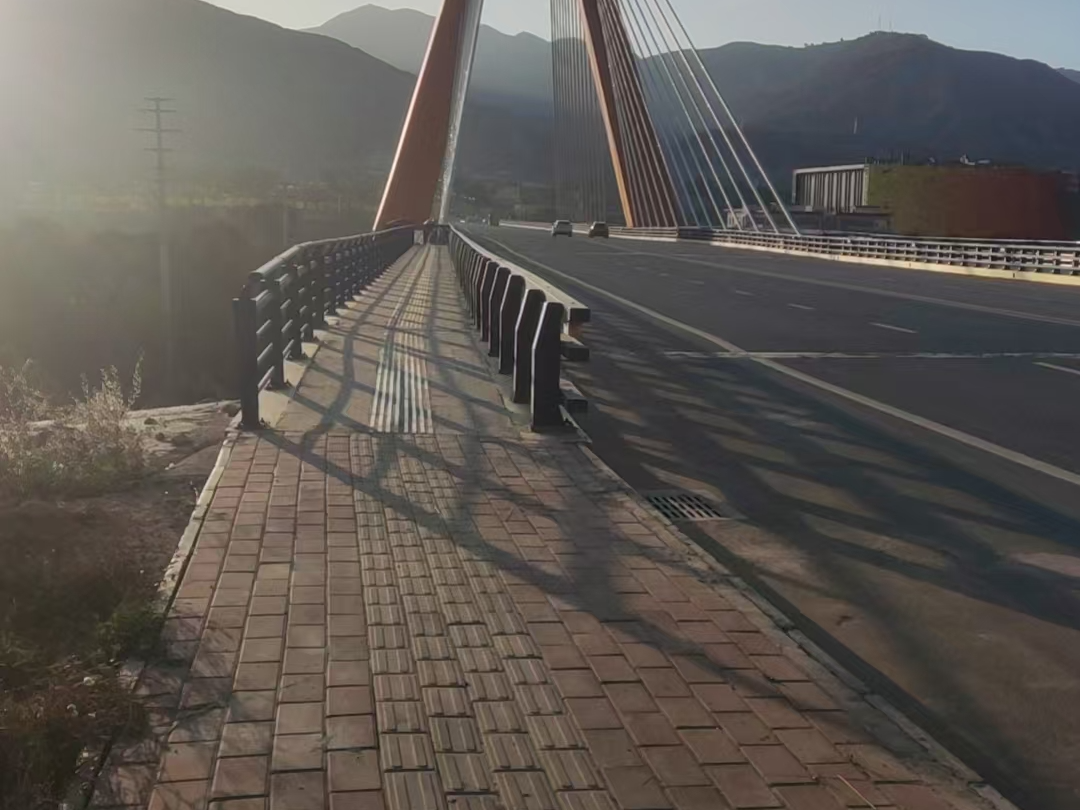 网红大桥_独家授权小李子阿-站酷ZCOOL