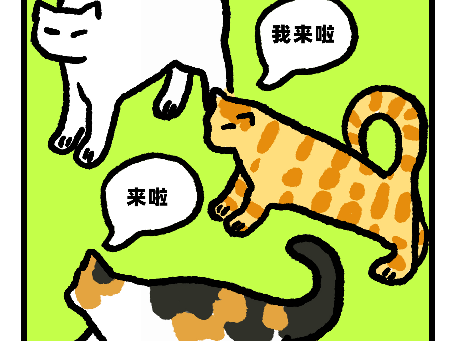 猫咪聚会_猫柚子-站酷ZCOOL