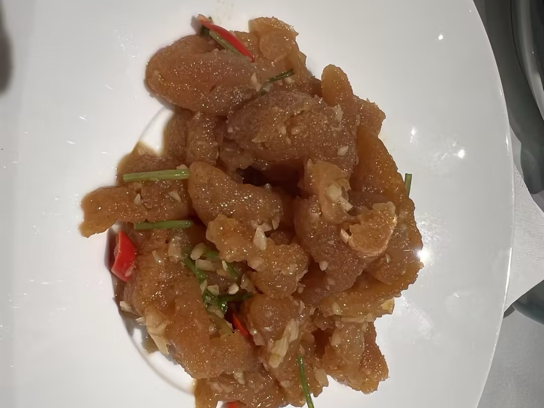 海蜇_honeywhy-站酷ZCOOL