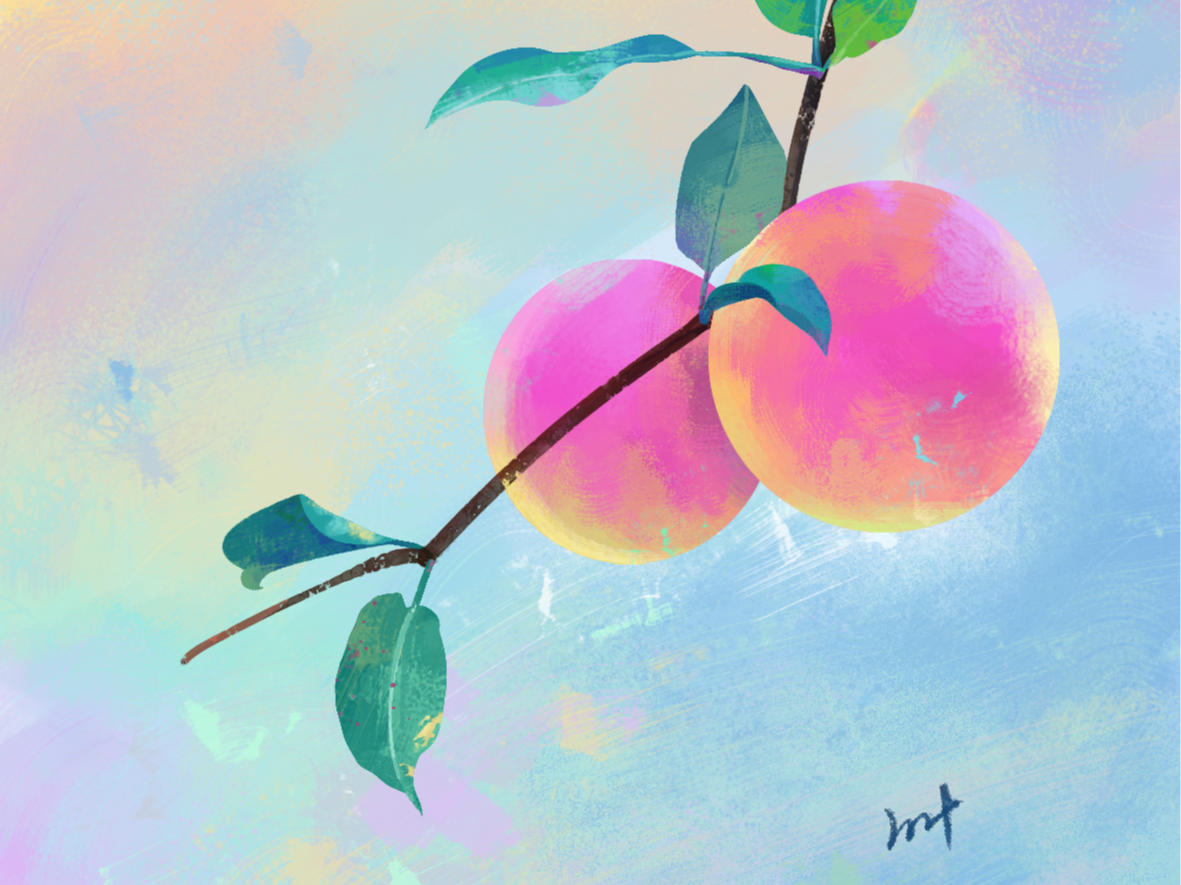 尝试花花绿绿的果子_cucu_J-站酷ZCOOL