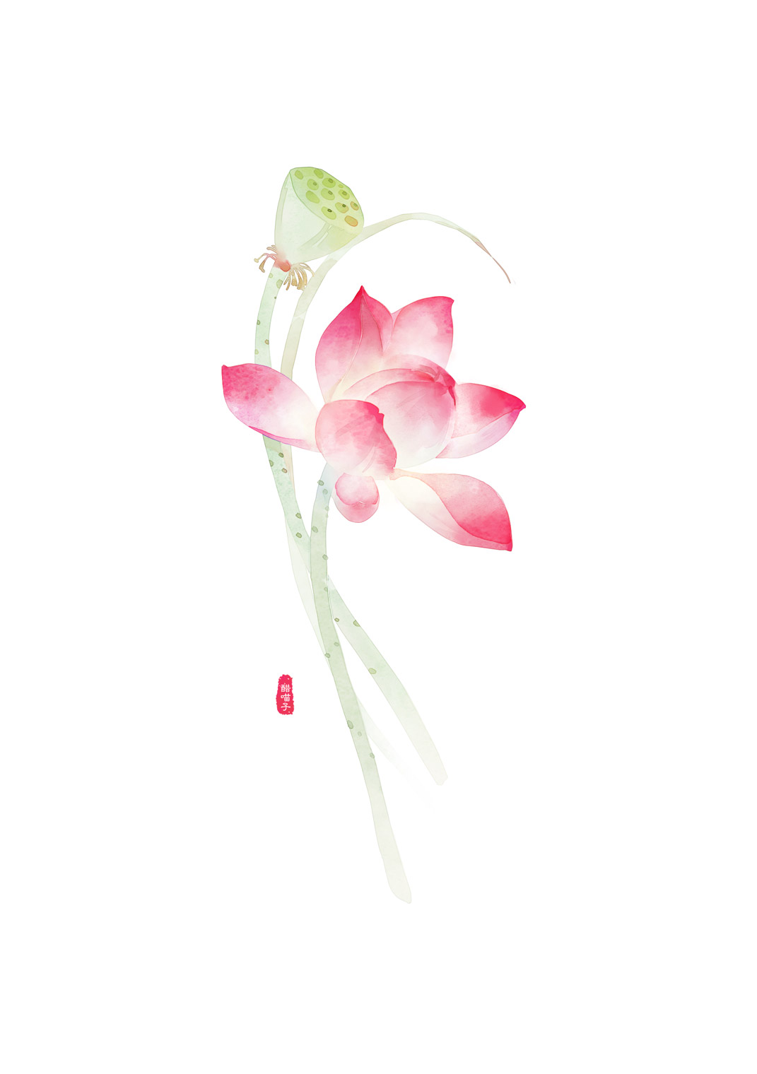 水彩临摹练习（四）_cucu_J-站酷ZCOOL